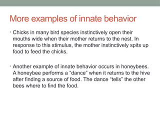 Kinds of Behavior (Innate Behavior).pptx