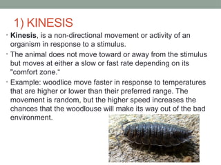 Kinds of Behavior (Innate Behavior).pptx