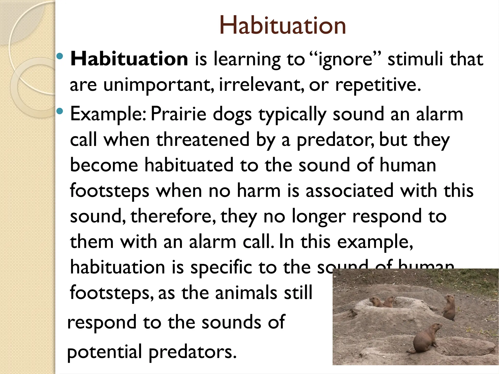 Kinds of Animal Behavior (Learned Behavior).pptx