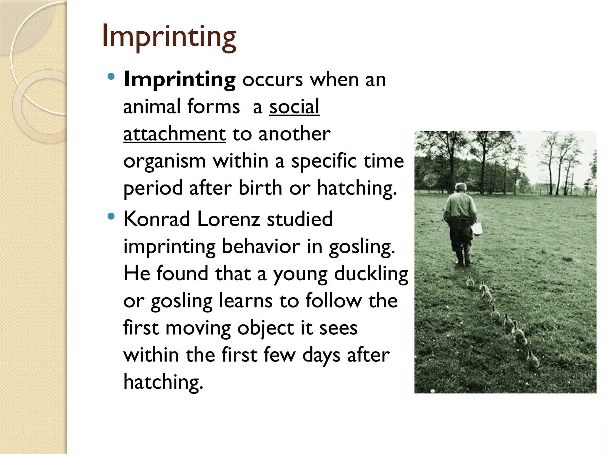 Kinds of Animal Behavior (Learned Behavior).pptx