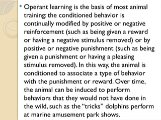 Kinds of Animal Behavior (Learned Behavior).pptx