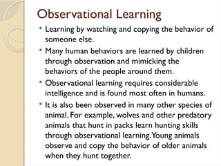 Kinds of Animal Behavior (Learned Behavior).pptx