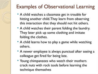 Kinds of Animal Behavior (Learned Behavior).pptx