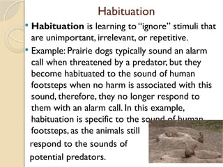 Kinds of Animal Behavior (Learned Behavior).pptx