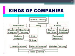 Kinds of companies | PPTX