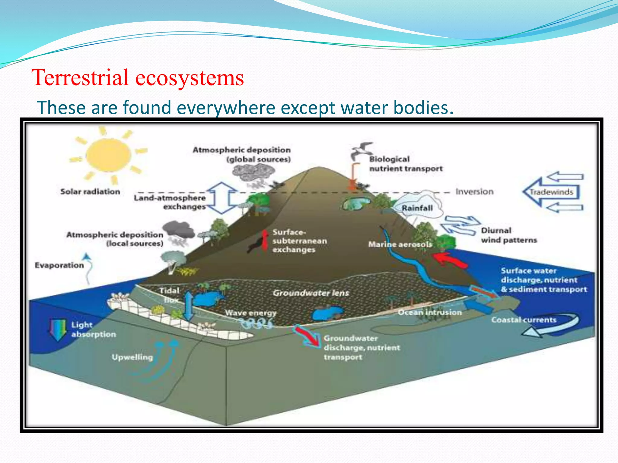 Kinds of ecosystem | PPTX