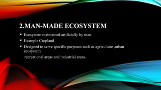 KINDS OF ECOSYSTEM presentation botany.pptx