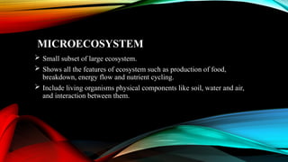 KINDS OF ECOSYSTEM presentation botany.pptx