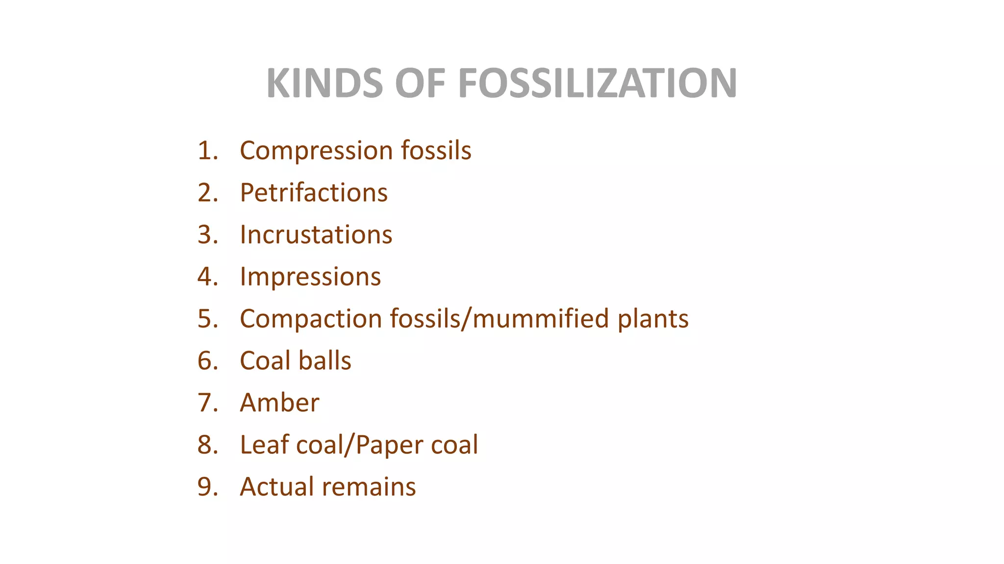 KINDS OF FOSSILIZATION.pptx