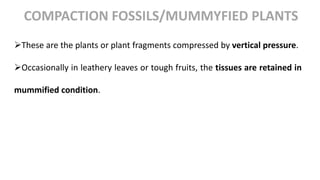 KINDS OF FOSSILIZATION.pptx