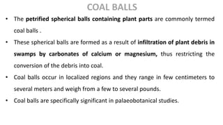 KINDS OF FOSSILIZATION.pptx