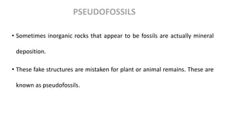 KINDS OF FOSSILIZATION.pptx