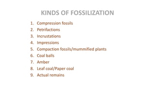 KINDS OF FOSSILIZATION.pptx