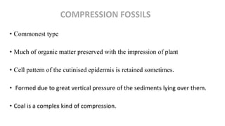 KINDS OF FOSSILIZATION.pptx