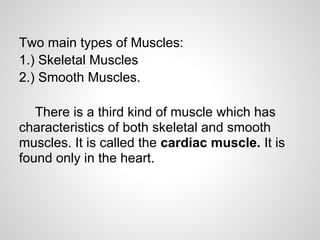 Kinds of muscles | PDF