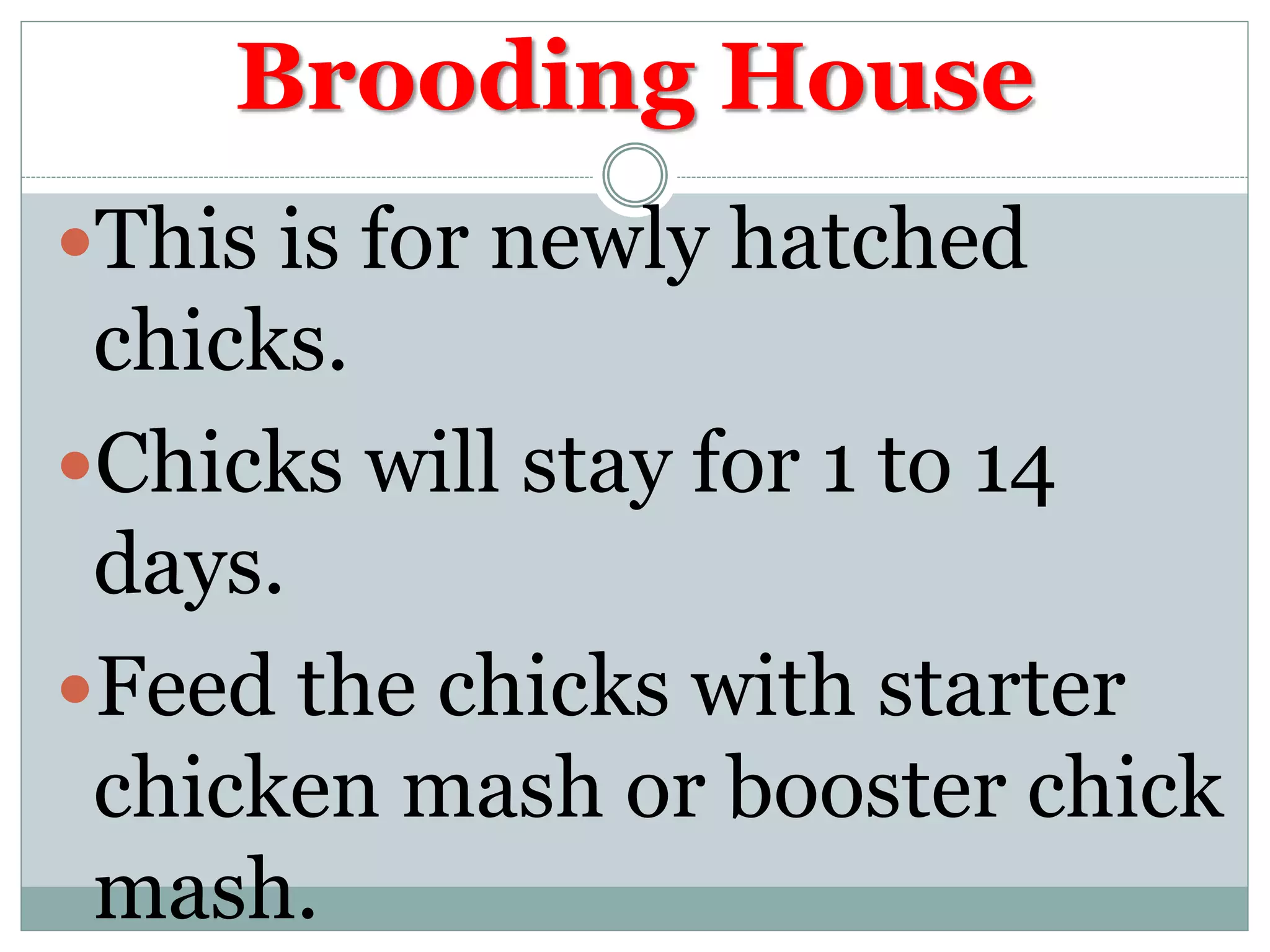 Kinds of Poultry Houses L | PPTX