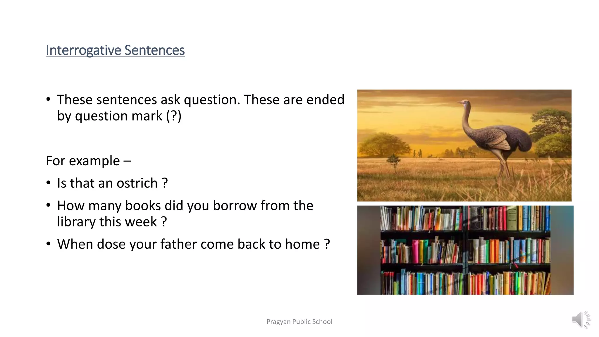 Kinds of sentences | PPT