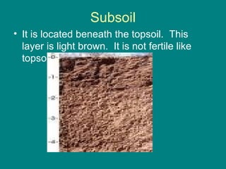 Kinds Of Soil | PPS