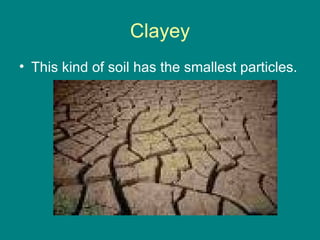 Kinds Of Soil | PPS