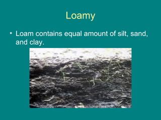 Kinds Of Soil | PPS