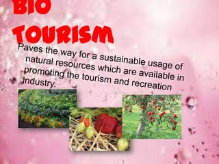 Kinds of tour/types of tourism | PPTX