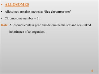 SEX DETERMINATION In Human , Drosophila melanogaster. | PPTX
