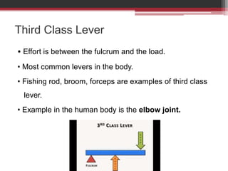 KINECSIOLOGY LECT -LEVER SYSTEM.pptttttx | PPTX