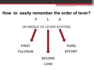 KINECSIOLOGY LECT -LEVER SYSTEM.pptttttx | PPTX
