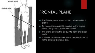 introduction to kinesiology | PDF