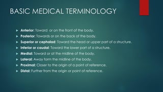introduction to kinesiology | PDF
