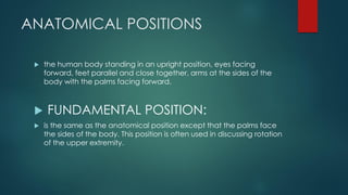 introduction to kinesiology | PDF