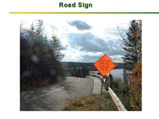 Mechanisms and kinematics of three translational slides along the North ...