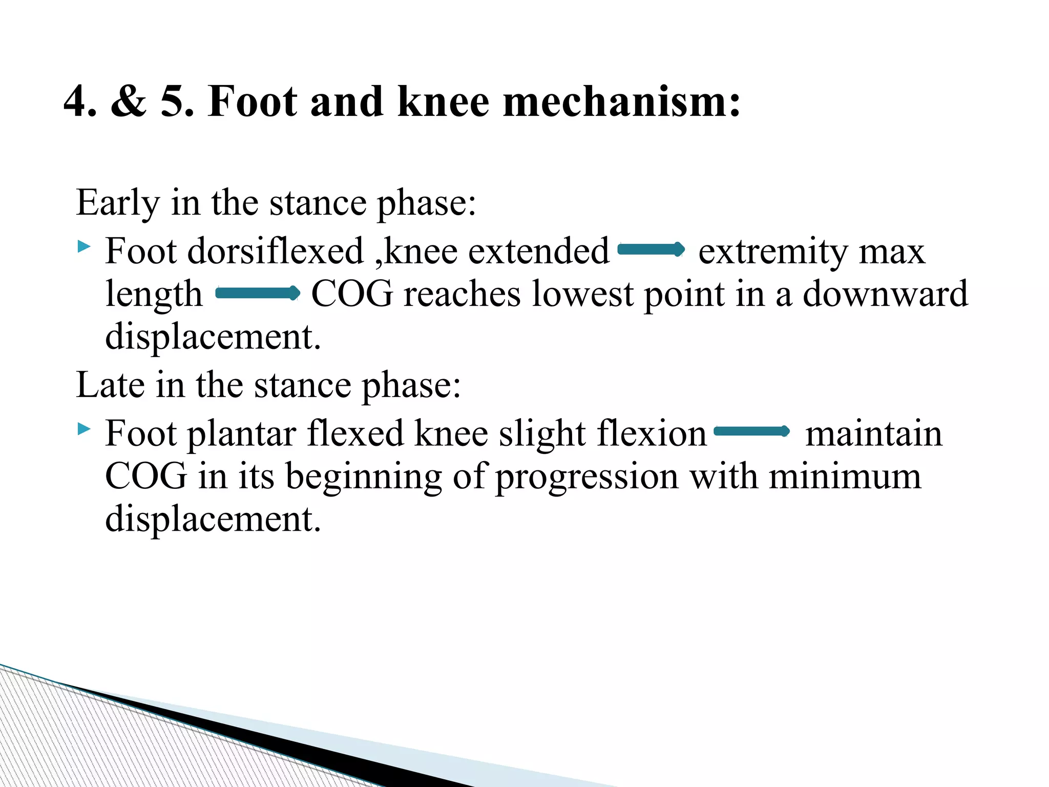 Kinematics and kinetics of gait | PDF
