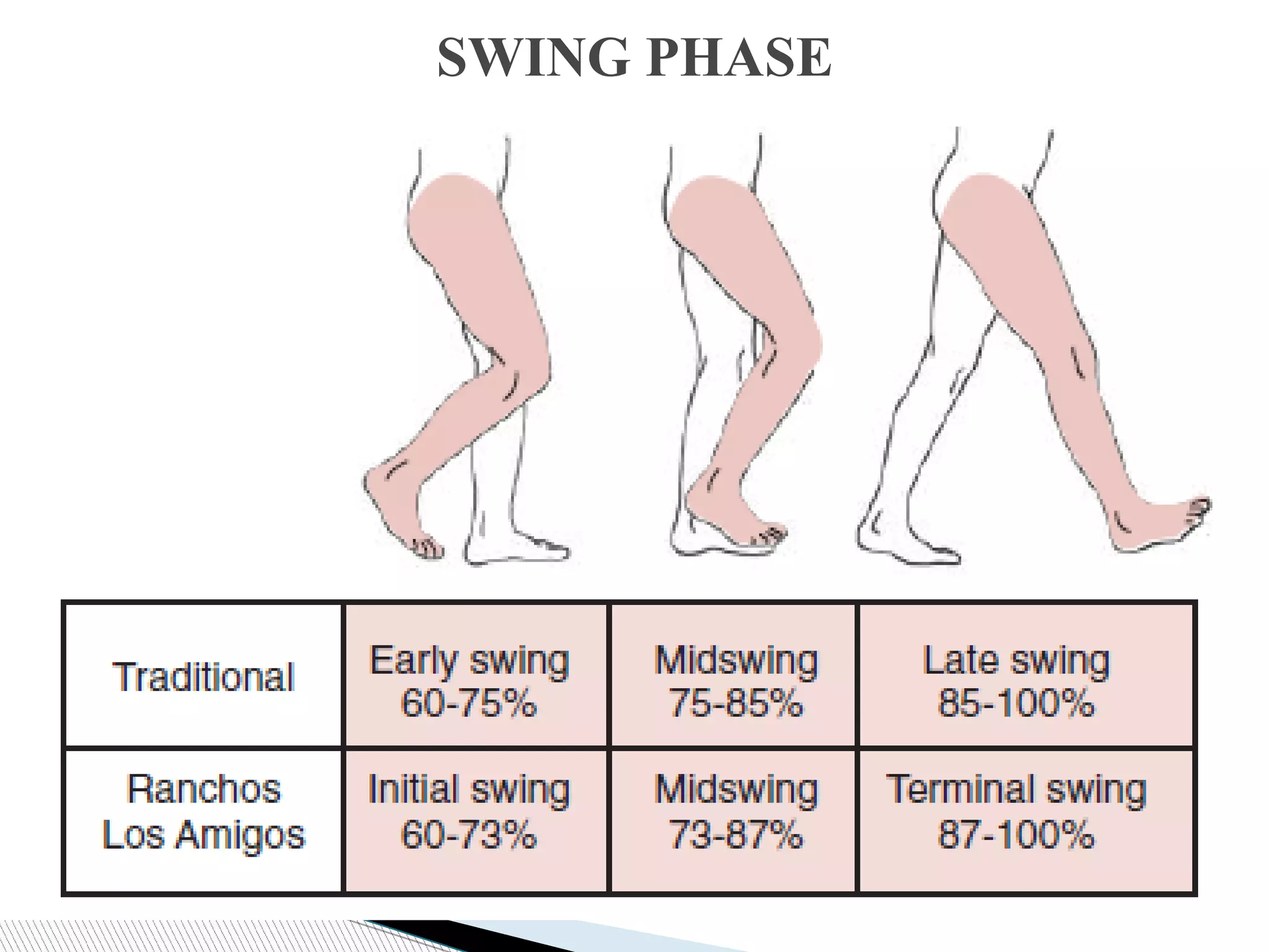 Kinematics and kinetics of gait | PDF