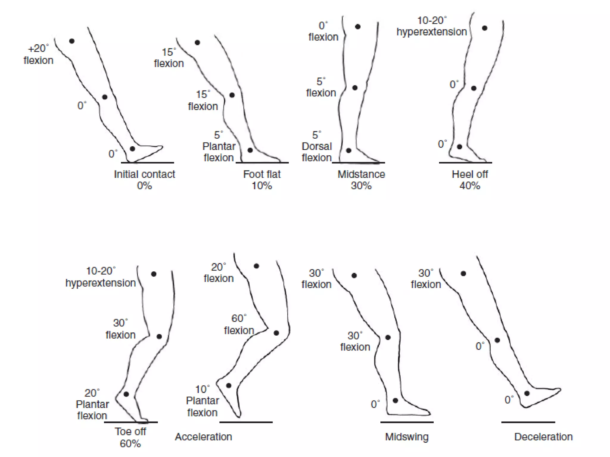 Kinematics and kinetics of gait | PDF