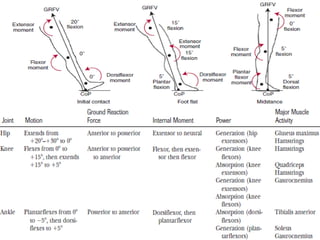 Kinematics and kinetics of gait | PDF