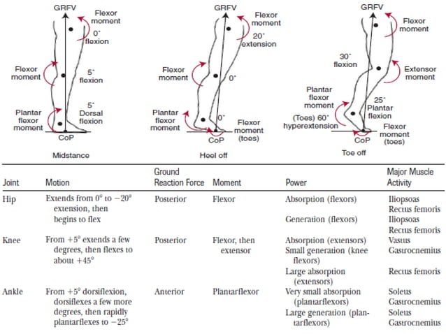 Kinematics and kinetics of gait | PDF