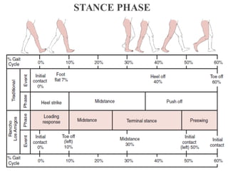 Kinematics and kinetics of gait | PDF