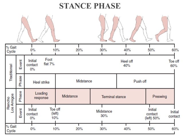 Kinematics and kinetics of gait | PDF