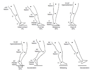 Kinematics and kinetics of gait | PDF