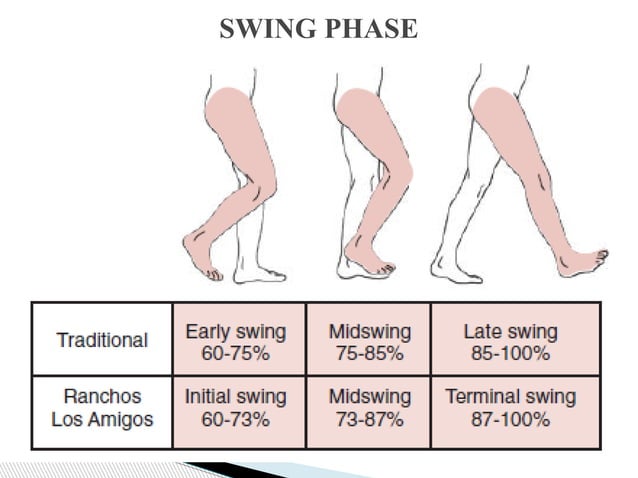 Kinematics and kinetics of gait | PPT
