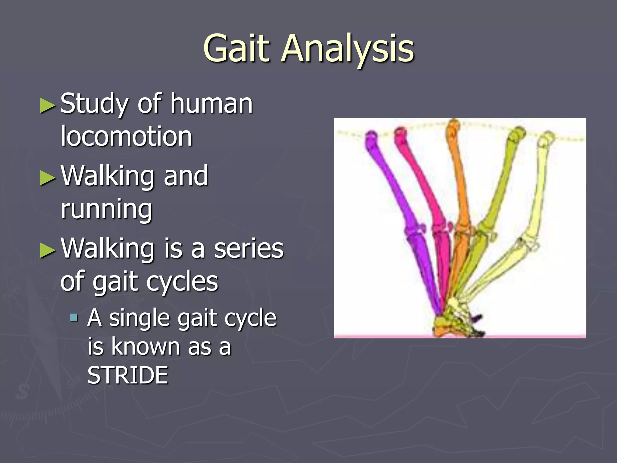 KINEMATICS OF LOCOMOTION.PPT | Foot Health | Diseases and Conditions