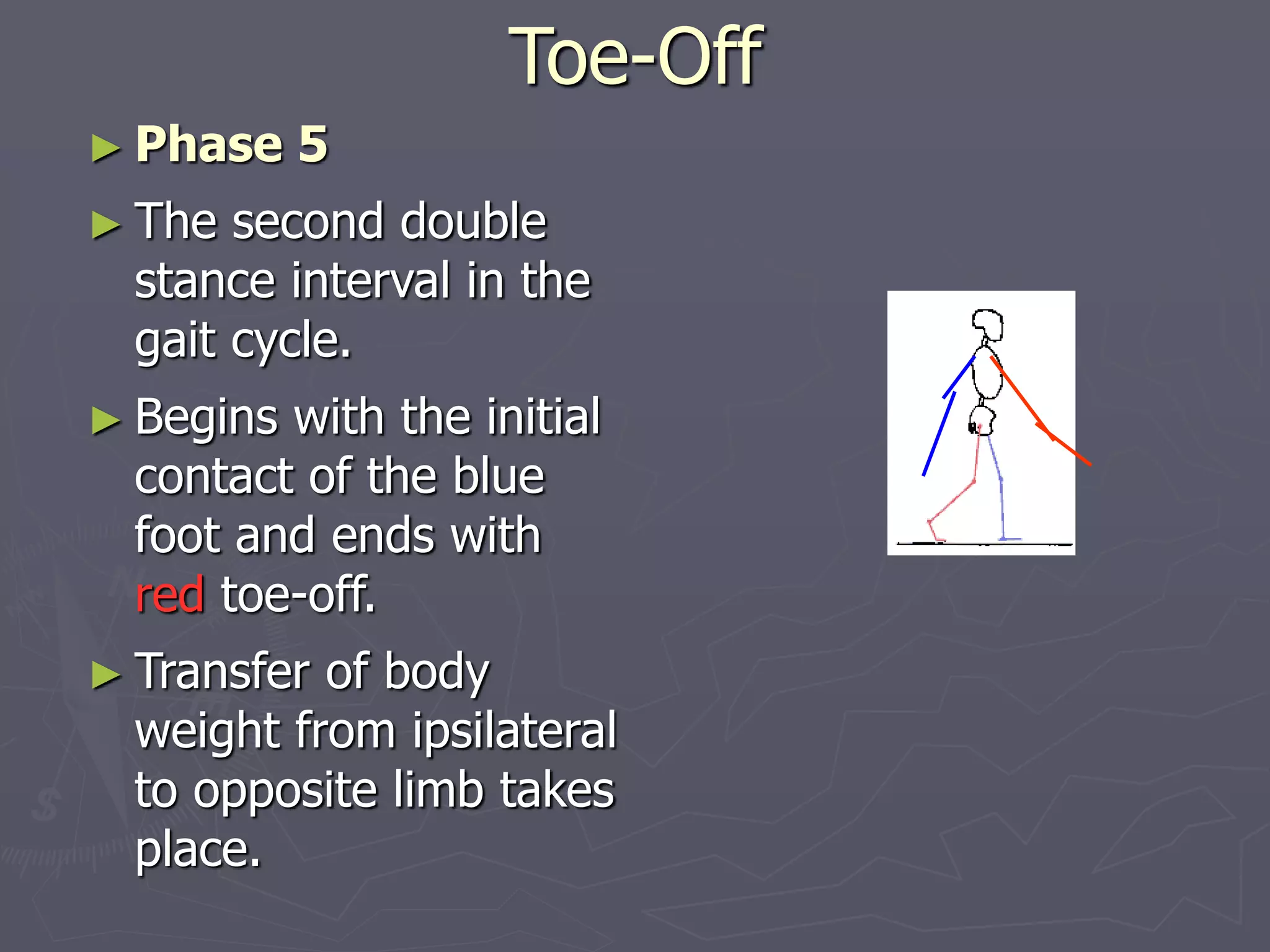 KINEMATICS OF LOCOMOTION.PPT | Foot Health | Diseases and Conditions