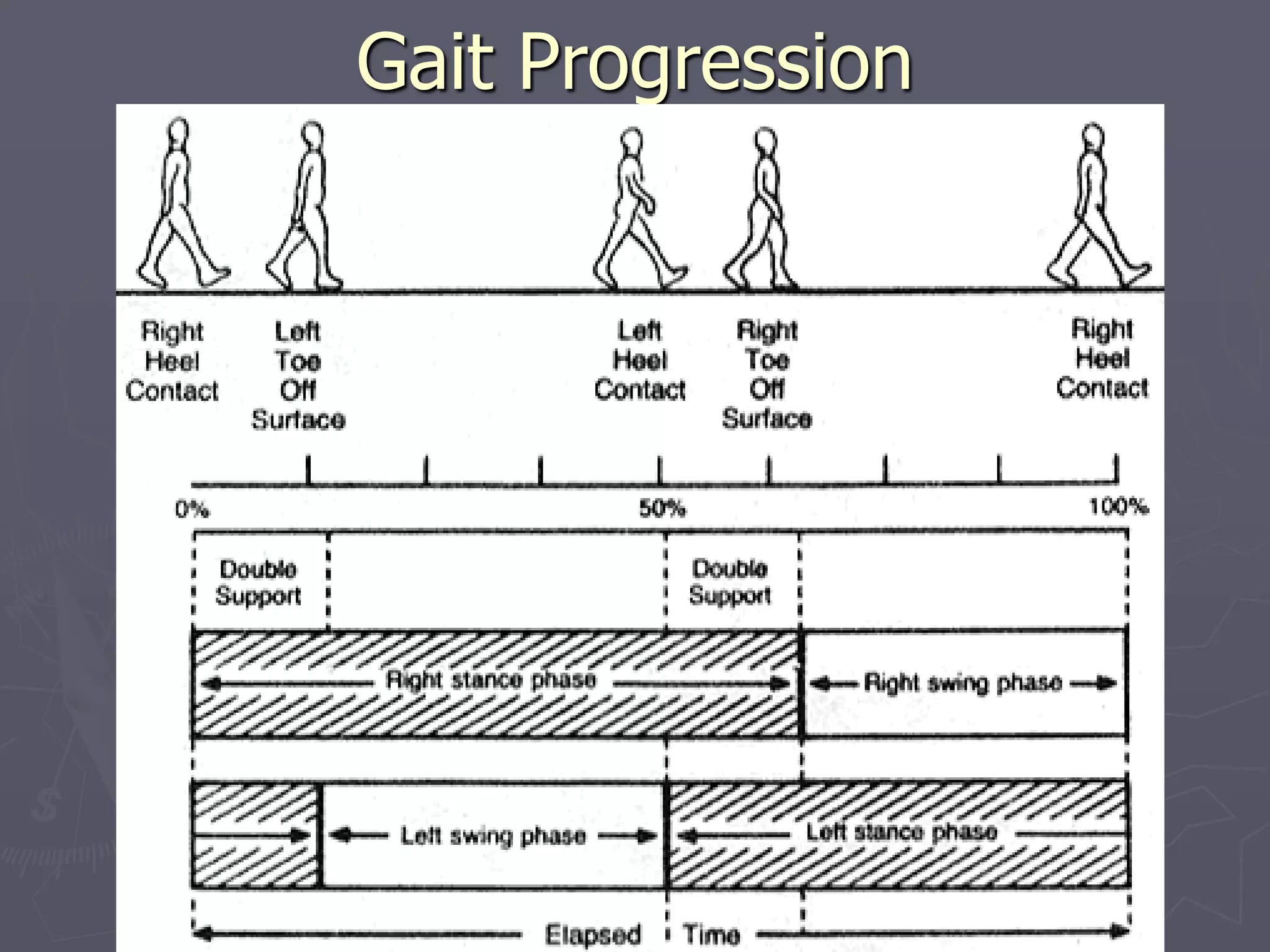 KINEMATICS OF LOCOMOTION.PPT | Foot Health | Diseases and Conditions