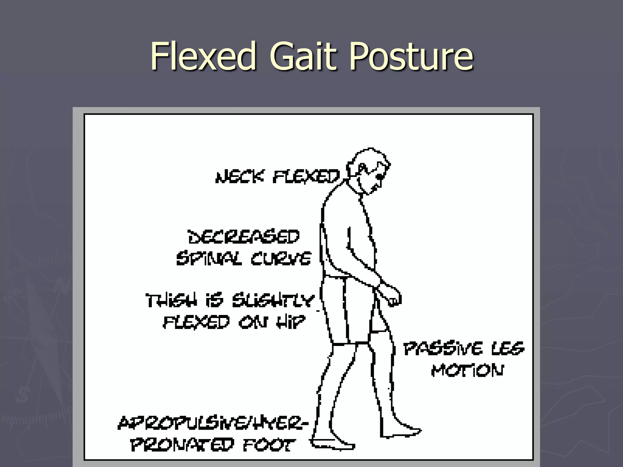 KINEMATICS OF LOCOMOTION.PPT | Foot Health | Diseases and Conditions