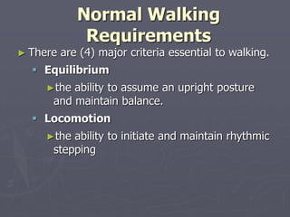 KINEMATICS OF LOCOMOTION.PPT | Foot Health | Diseases and Conditions