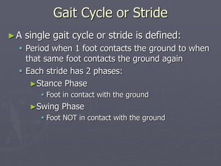 KINEMATICS OF LOCOMOTION.PPT