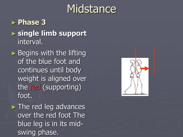 KINEMATICS OF LOCOMOTION.PPT | Foot Health | Diseases and Conditions