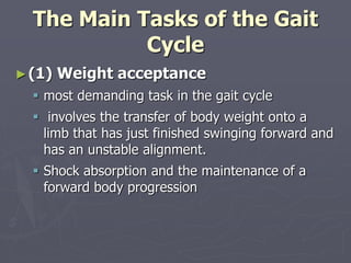 KINEMATICS OF LOCOMOTION.PPT