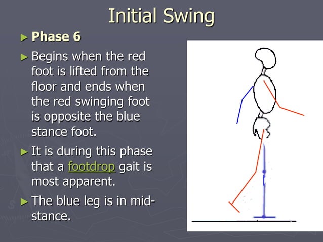KINEMATICS OF LOCOMOTION.PPT | Foot Health | Diseases and Conditions